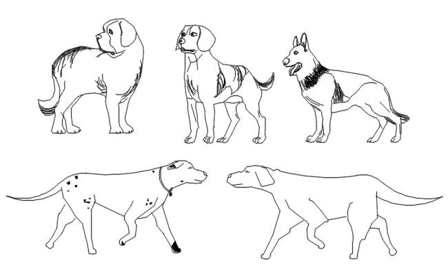 Dog Elevation 2d Drawings Details Of Animal Units Block