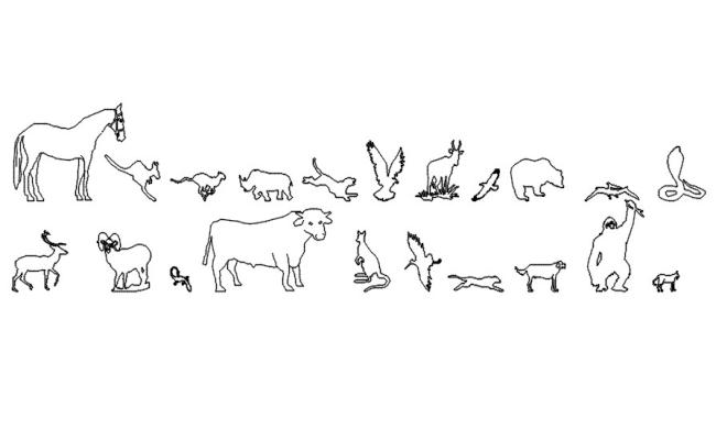 Dog Elevation 2d Drawings Details Of Animal Units Block