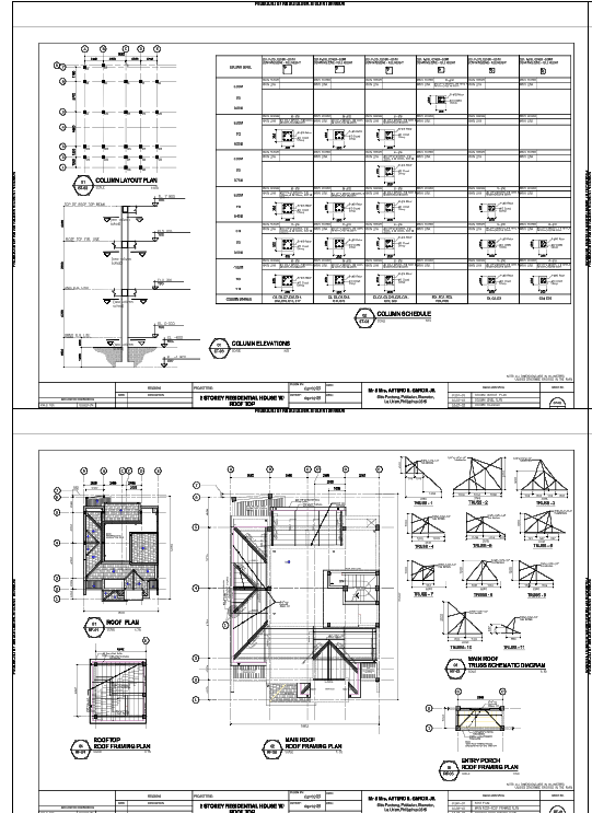 Township Master Planning Layout with Road and Plot Design