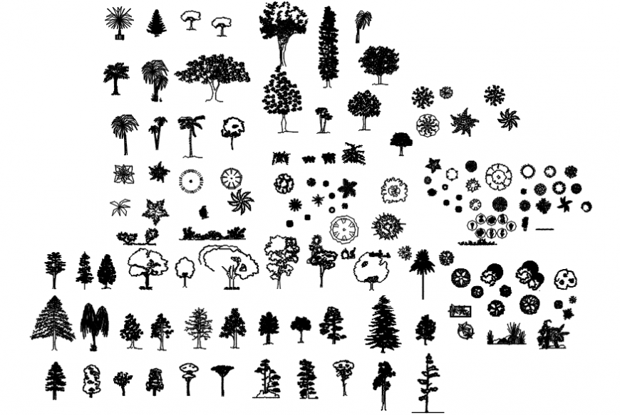 Trees front sectional model file