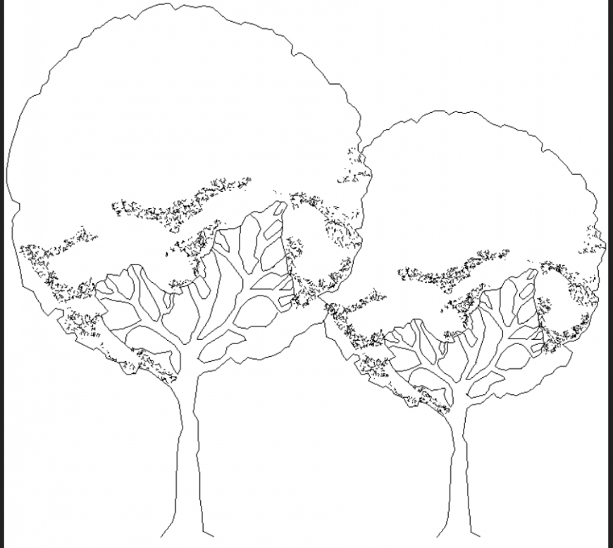 Two tall trees plan detail dwg file.